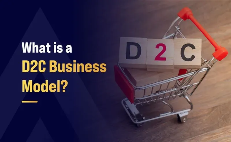 What is a D2C Business Model?